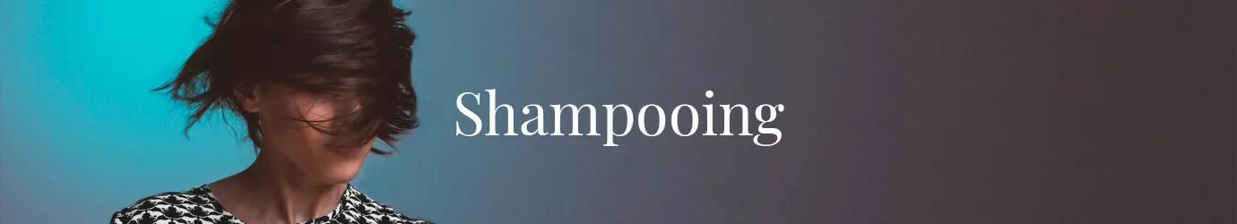 Shampooing technique pour coiffeur professionnel | La Beauté Pro